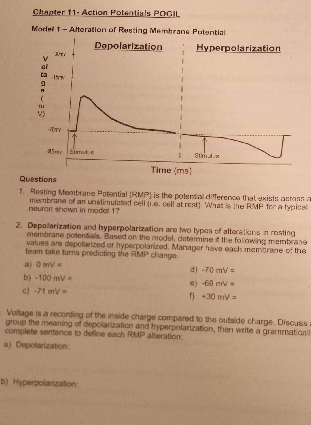 Solved Chapter 11- Action Potentials POGIL Model 1 - | Chegg.com