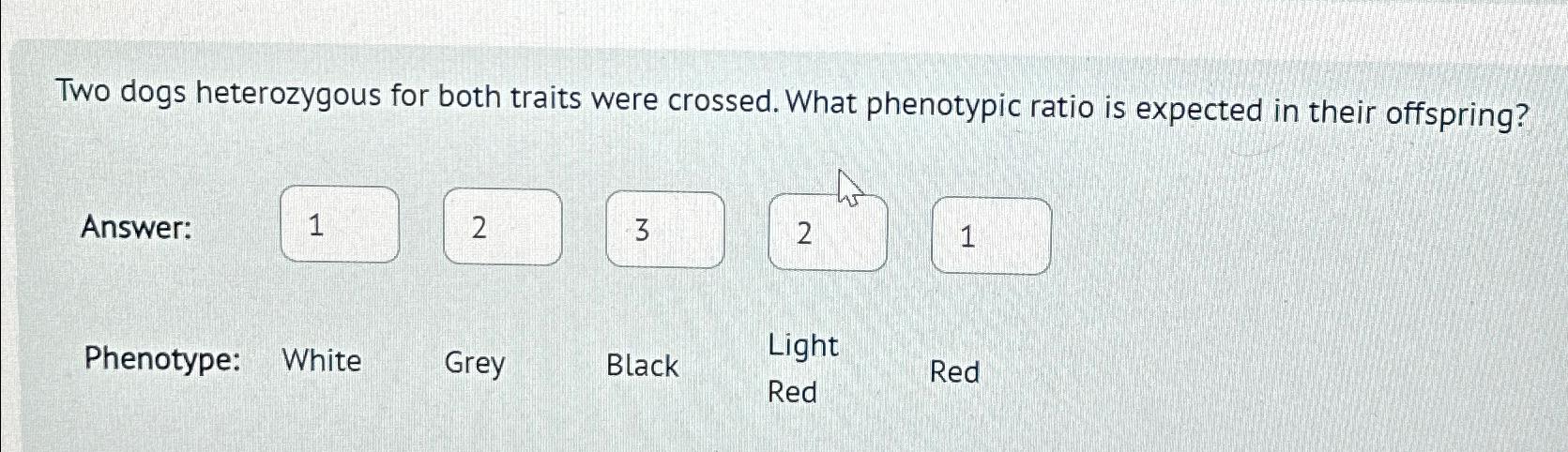Solved Two dogs heterozygous for both traits were crossed. | Chegg.com