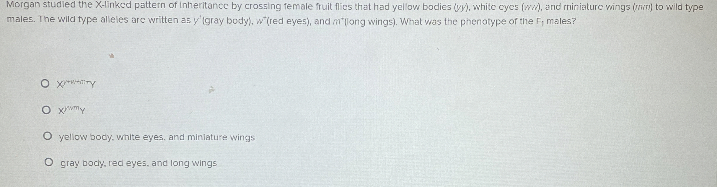 Solved Morgan studied the x-linked pattern of inheritance by | Chegg.com