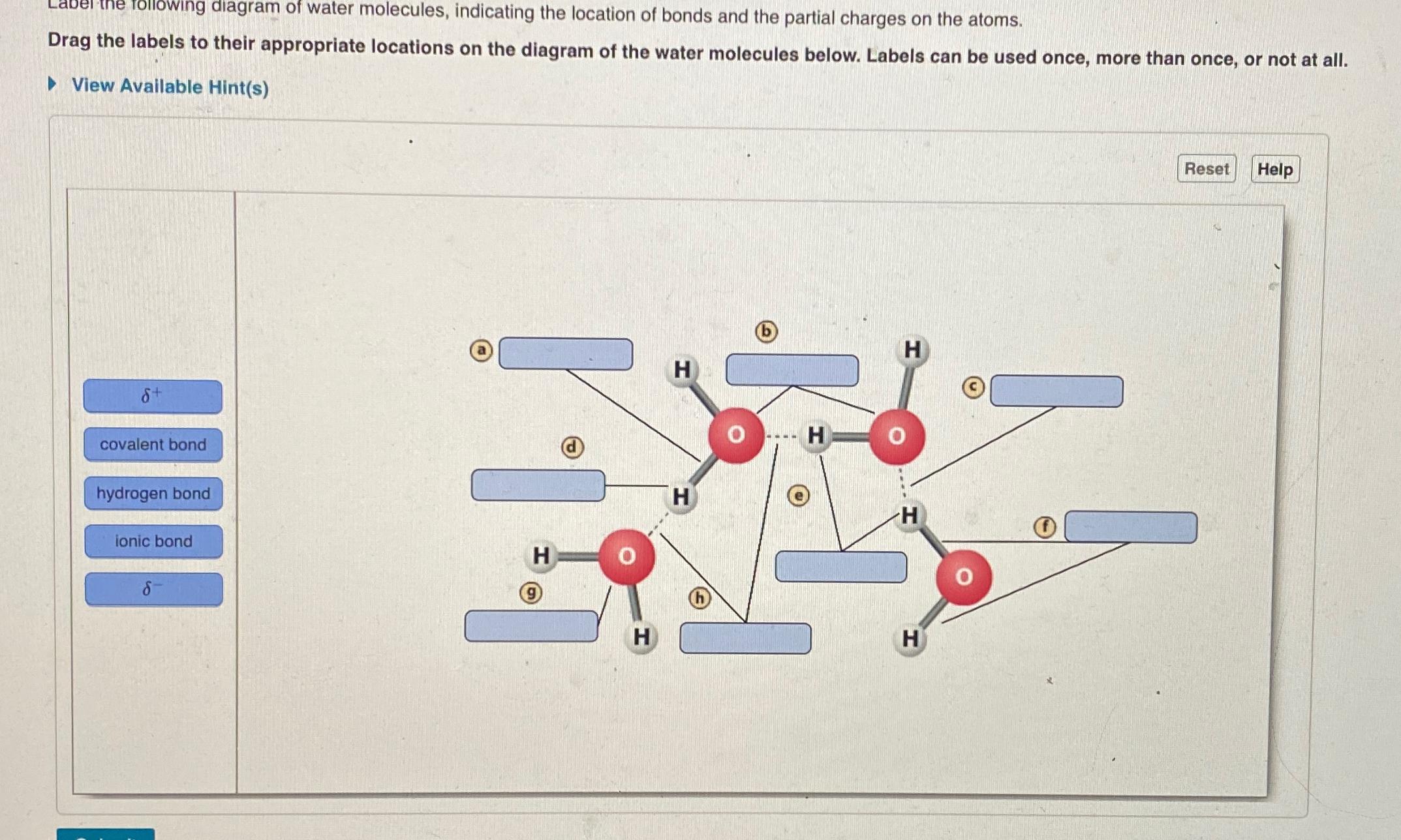 Solved label the following diagram of water molecules, | Chegg.com Solved label the following diagram of water molecules, | Chegg.com