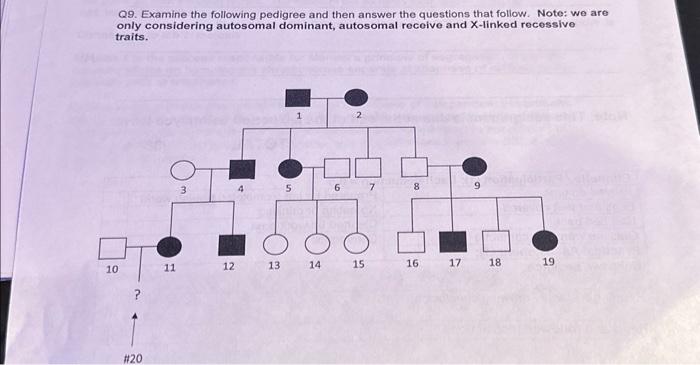 Solved b. What kind(s) of inheritance patterns could this | Chegg.com