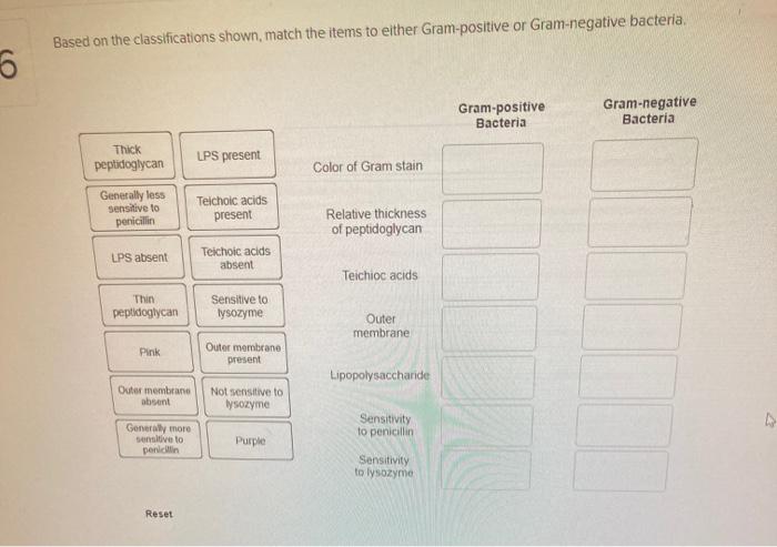 Solved Quiz 0 Identify which image refers to the cell wall | Chegg.com