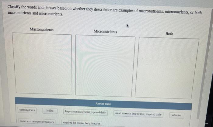 Solved Classify the words and phrases based on whether they | Chegg.com