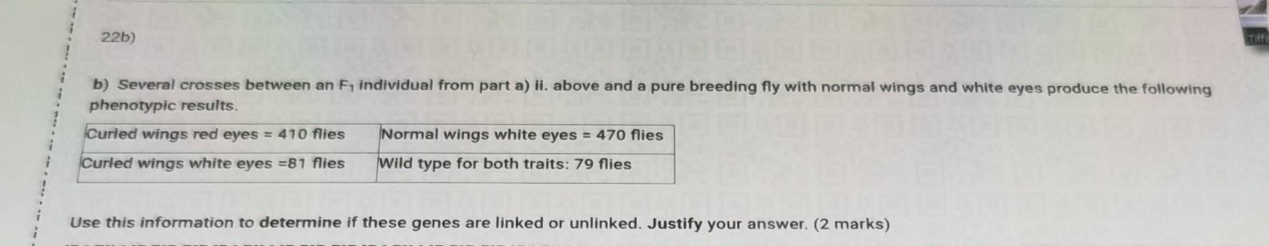 Solved Drosophila melanogaster is a species of fruit fly | Chegg.com