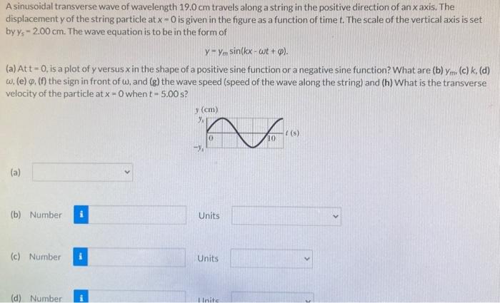 Solved A sinusoidal transverse wave of wavelength 19.0 cm | Chegg.com