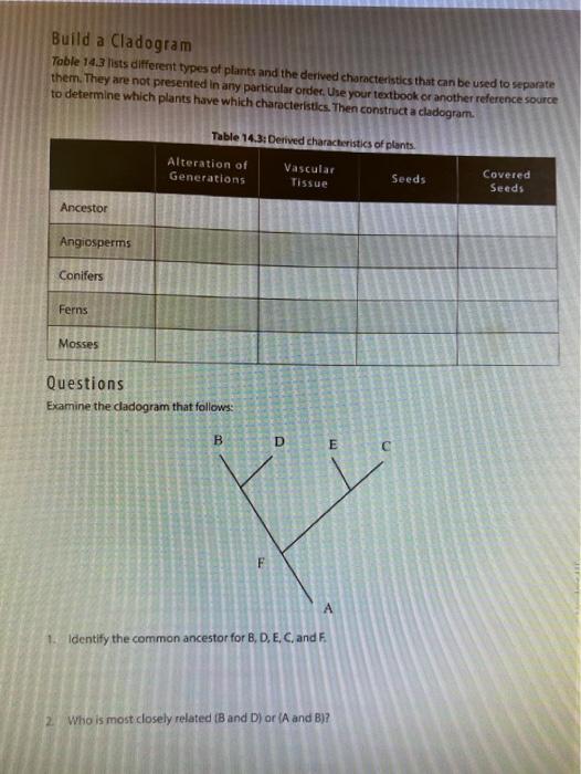 Solved Build a Cladogram Table 14.3 lists different types of | Chegg.com