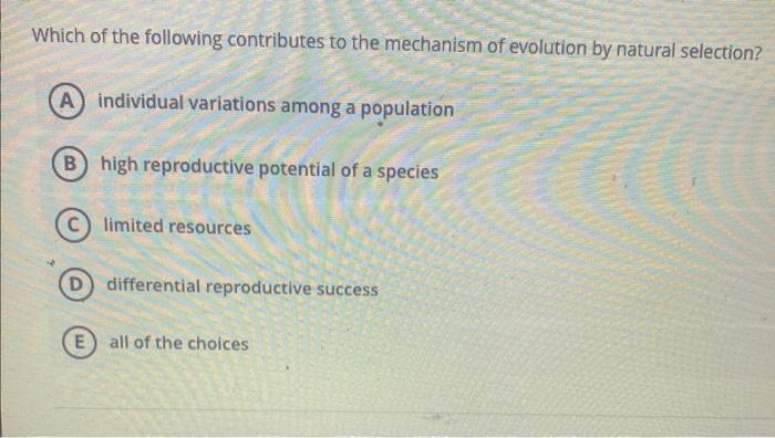 Solved Which of the following contributes to the mechanism | Chegg.com
