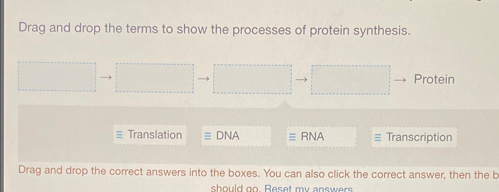 Solved Drag And Drop The Terms To Show The Processes Of