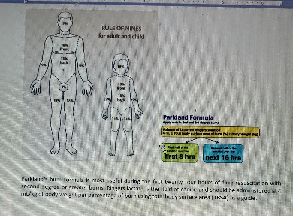 Solved Based on a calculation body surface area bumed, and | Chegg.com