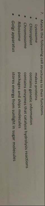 Solved Match the following cell structures to their | Chegg.com