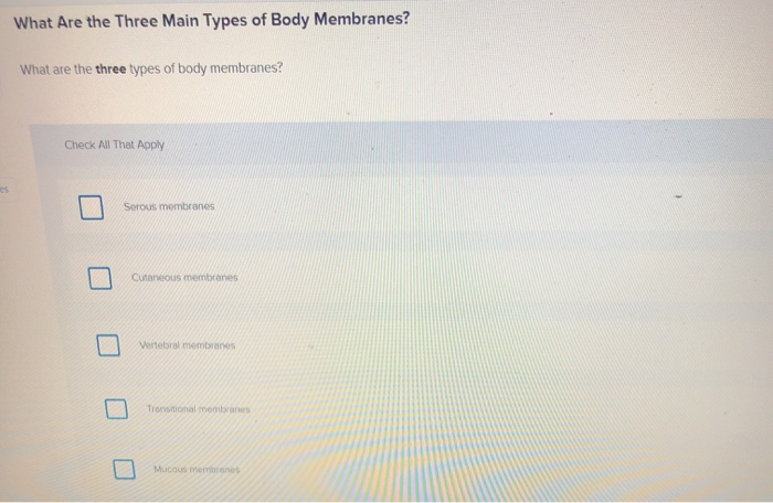 Solved What Are The Three Main Types Of Body Membranes What Chegg Solved What Are The Three Main Types Of Body Membranes What Chegg
