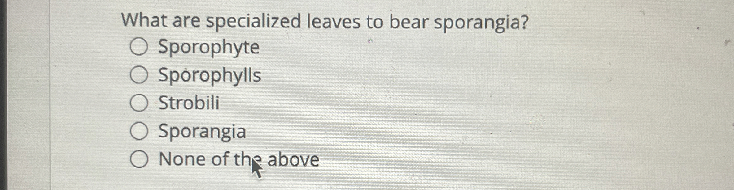 Solved What are specialized leaves to bear | Chegg.com