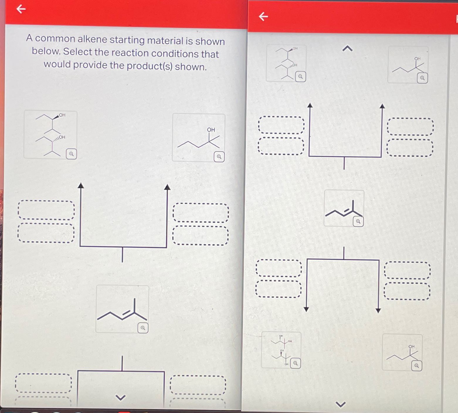Solved A common alkene starting material is shown below. | Chegg.com