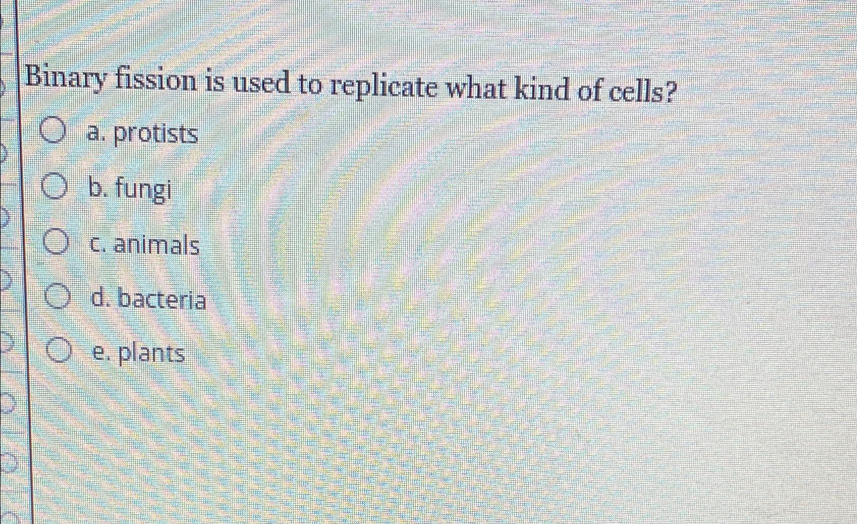 Solved Binary fission is used to replicate what kind of | Chegg.com