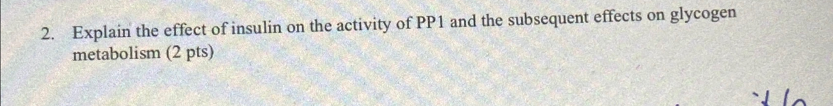 Solved Explain the effect of insulin on the activity of PP1 | Chegg.com
