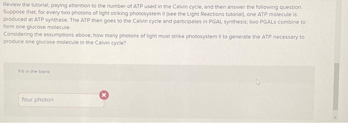 Solved Review the tutorial, paying attention to the number | Chegg.com