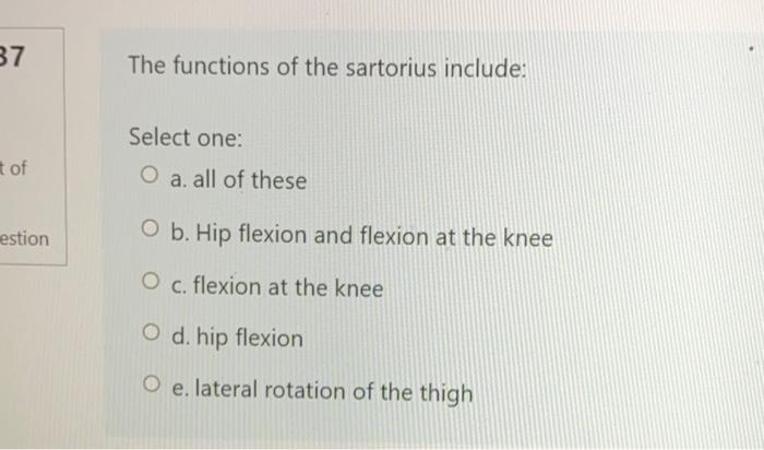 Solved 37 The functions of the sartorius include: Select | Chegg.com