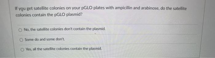 Solved If you get satellite colonies on your PGLO plates | Chegg.com