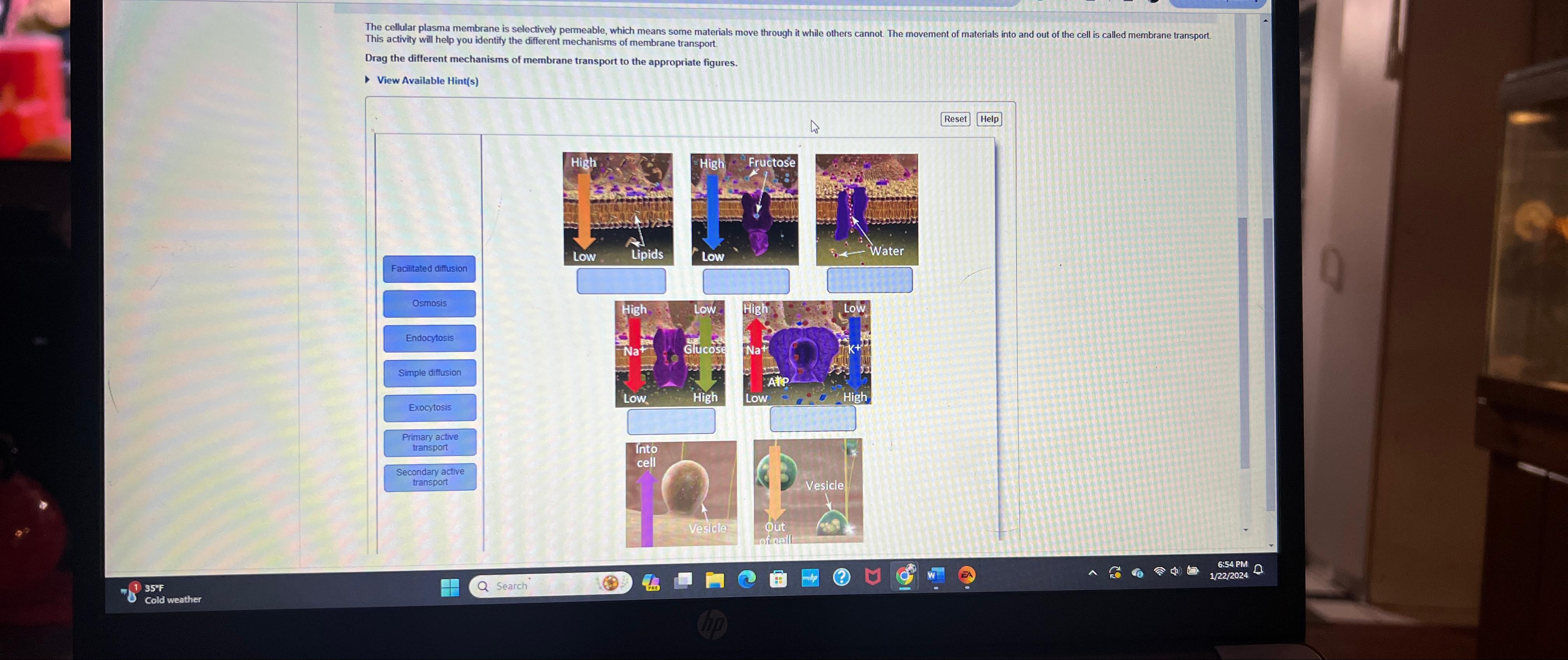 Solved This activity will help you identify the different | Chegg.com