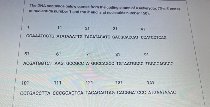 Solved The DNA sequence below comes from the coding strand | Chegg.com