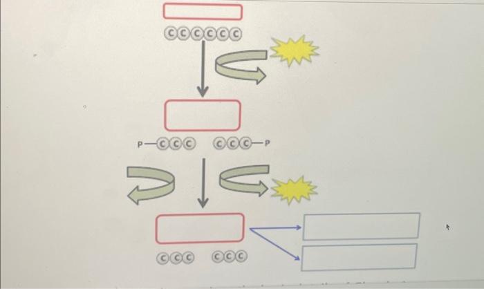 Solved fill in the blanks. the diagram gives the basic | Chegg.com