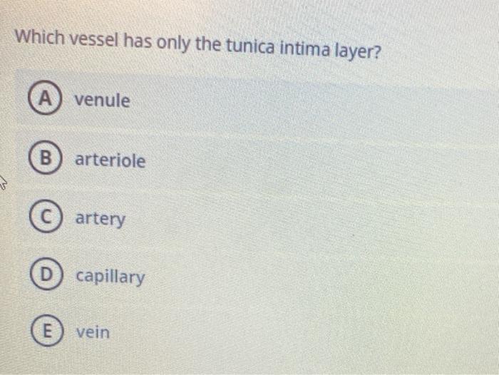 Solved Which vessel has only the tunica intima layer? Α. | Chegg.com