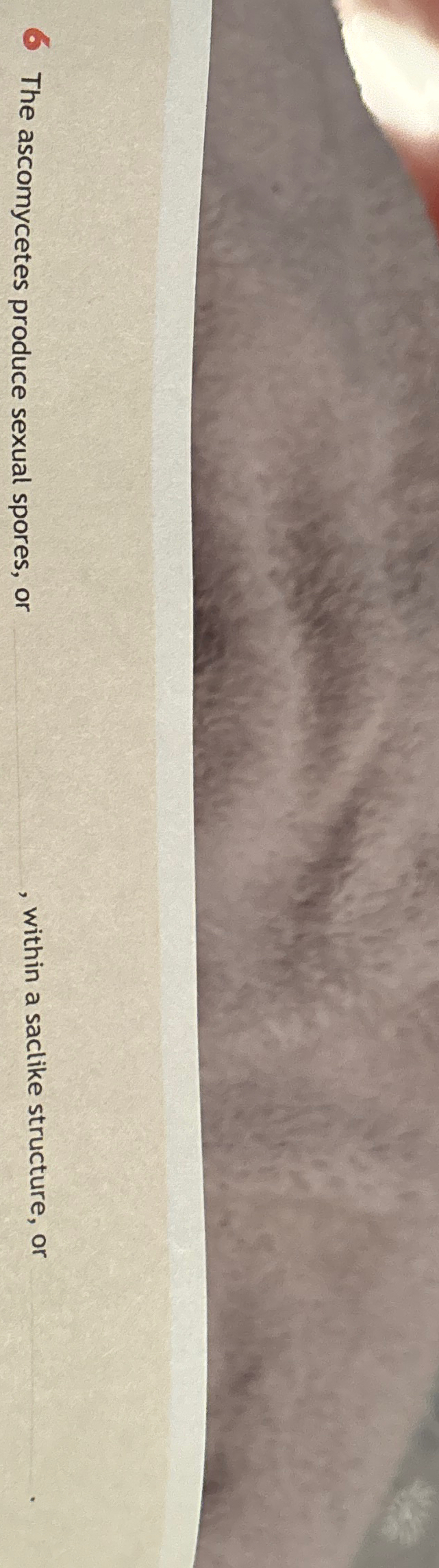 Solved 6 ﻿The ascomycetes produce sexual spores, or , | Chegg.com