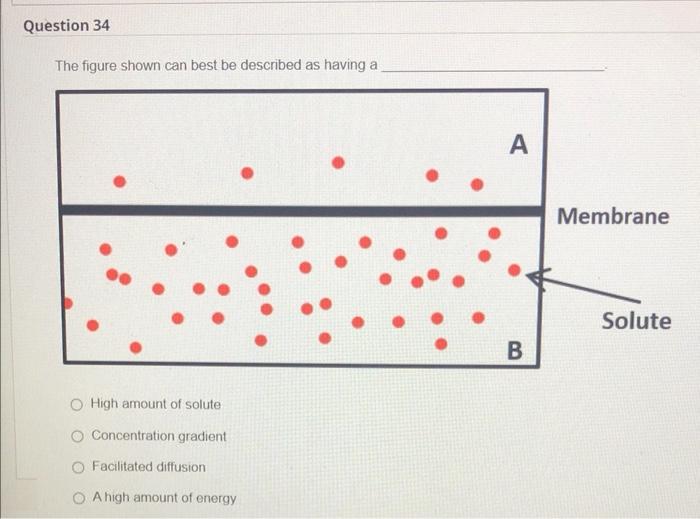 [Solved]: The figure shown can best be described as having