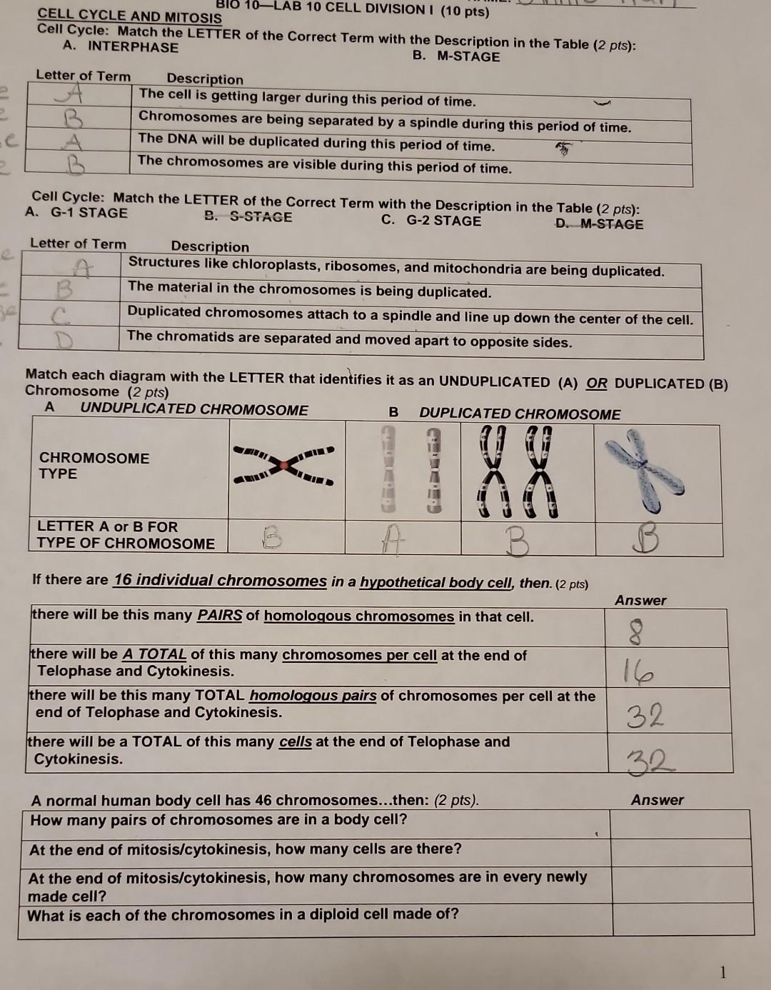 Solved Need someone to double check my work and explain the | Chegg.com