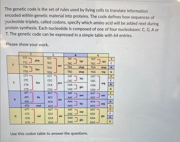 Solved A random single nucleotide mutation occurs in a codon | Chegg.com
