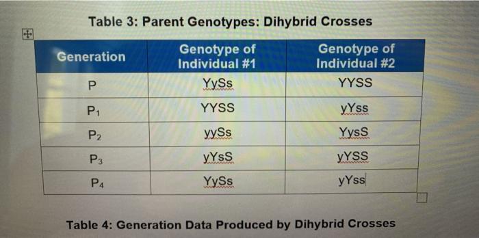 Solved Table 3: Parent Genotypes: Dihybrid Crosses | Chegg.com
