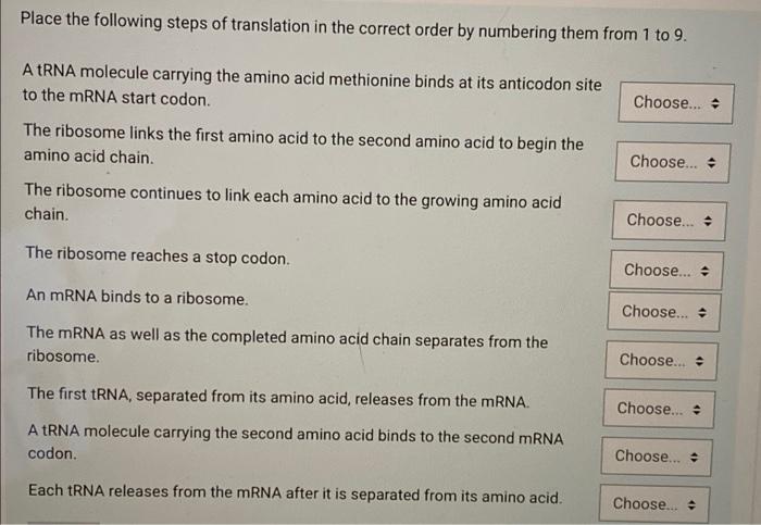 Solved Place the following steps of translation in the | Chegg.com