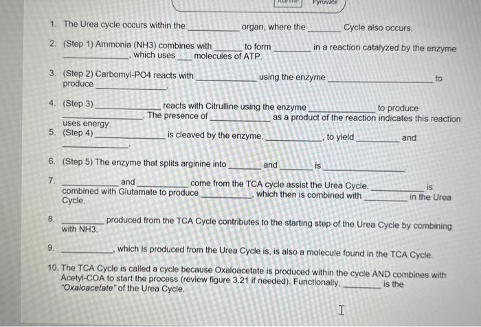 1. The Urea cycle occurs within the organ, where the | Chegg.com