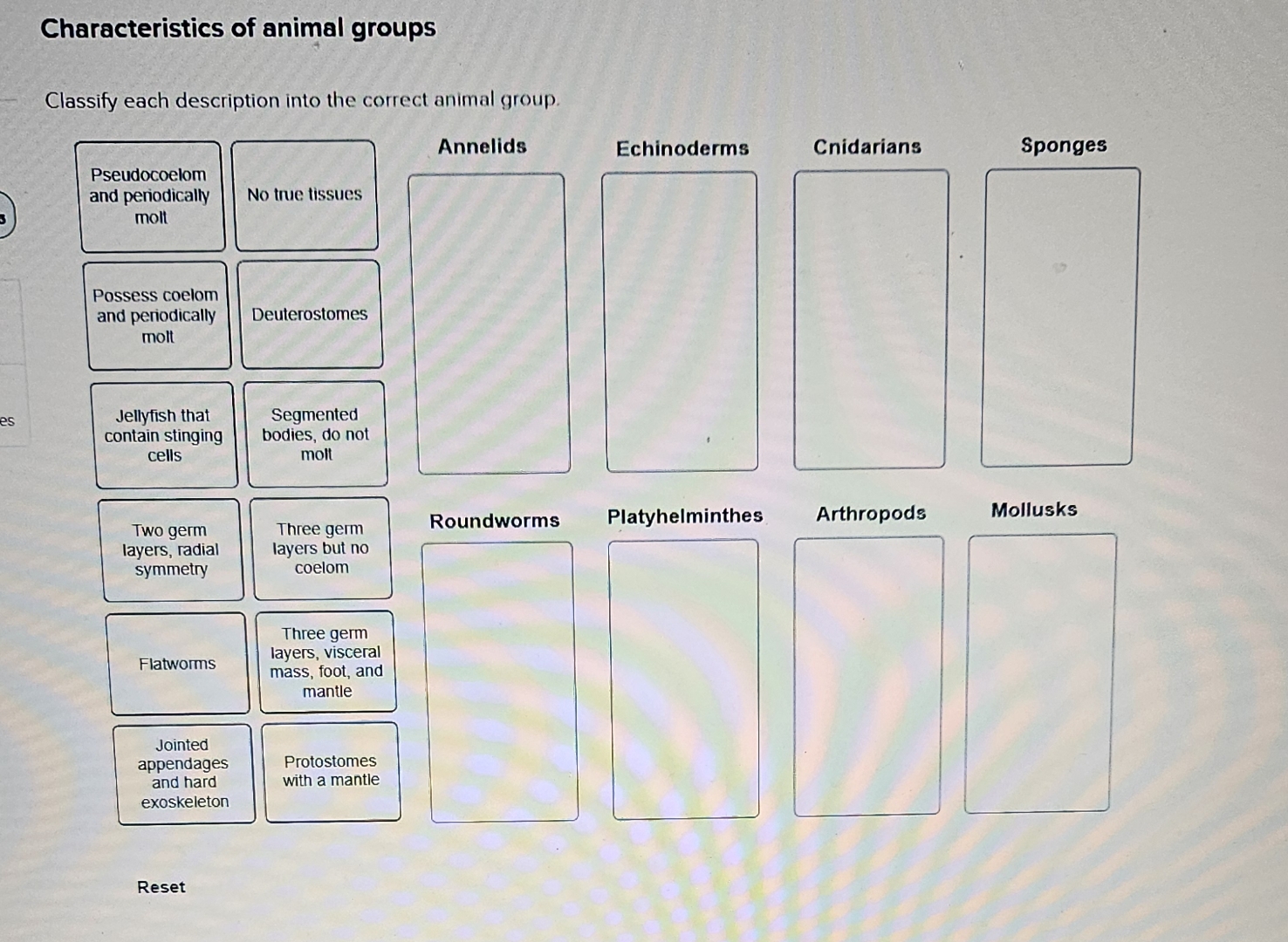 Solved Characteristics of animal groupsClassify each | Chegg.com