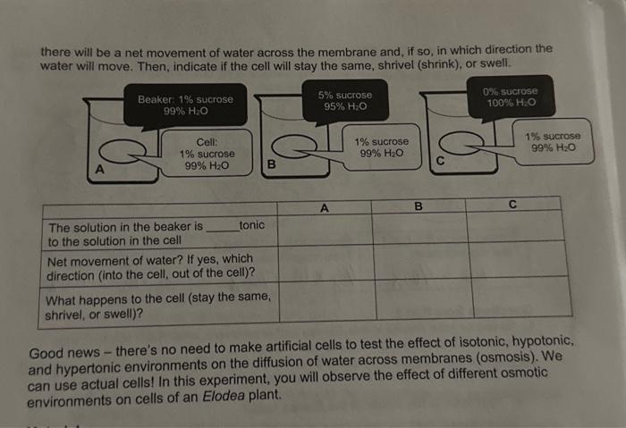 Solved please do the schedule | Chegg.com