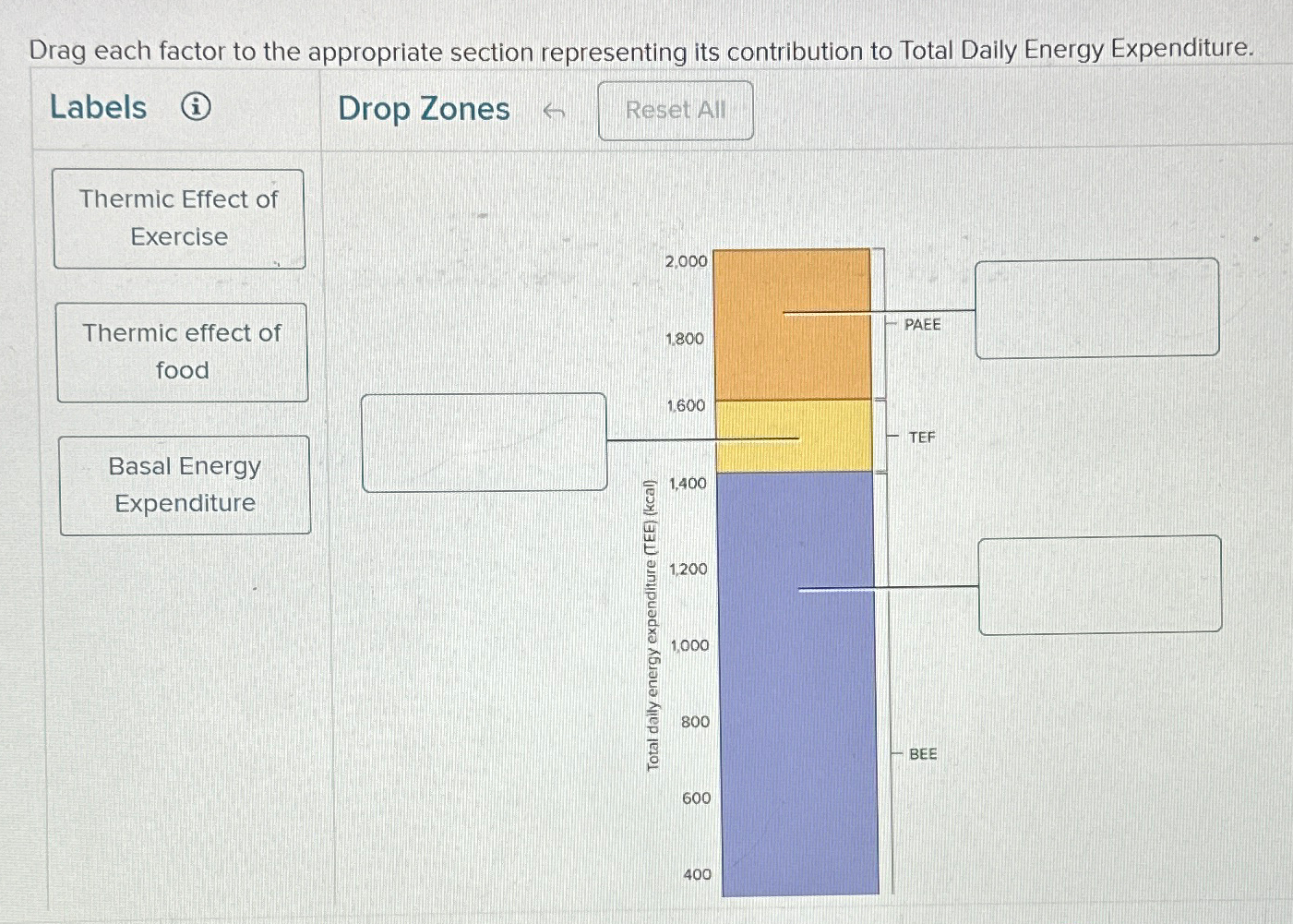 Solved Drag each factor to the appropriate section | Chegg.com