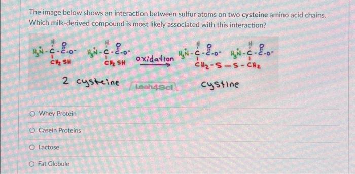 Solved The image below shows an interaction between sulfur | Chegg.com