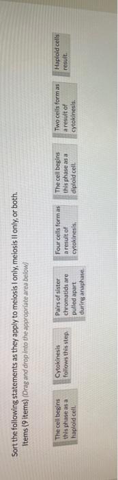 Solved Sort the following statements as they apply to | Chegg.com