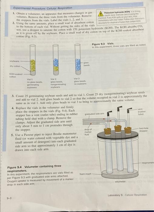 9.1 Cellular Respiration Pre-Lab 2. In the | Chegg.com
