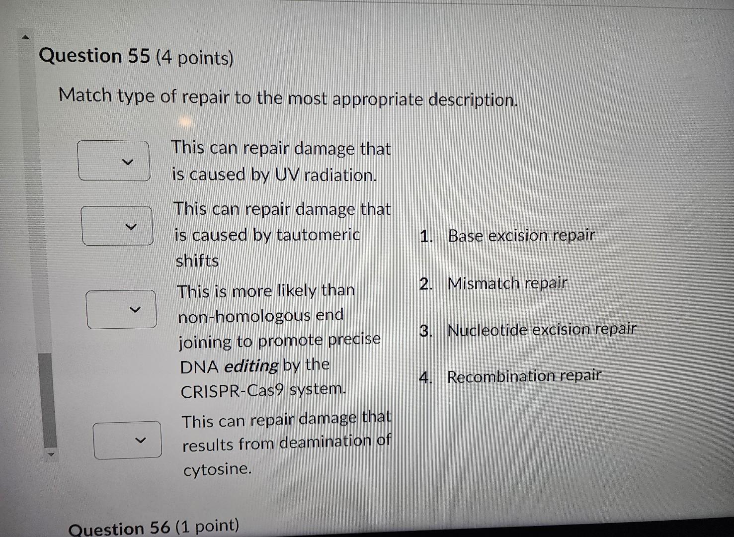 Solved Question 55 (4 points) Match type of repair to the | Chegg.com