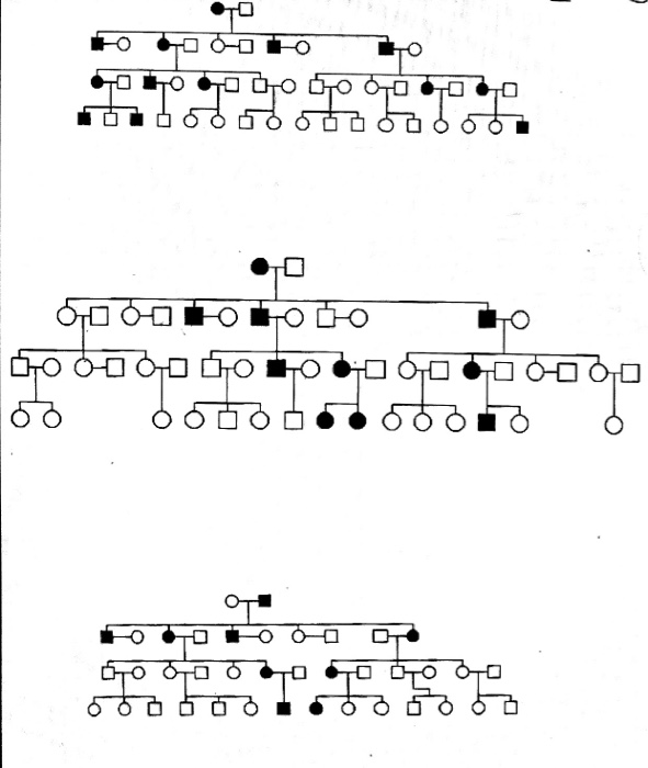 Solved A: Mode of inheritance: Assume the trait is rare in | Chegg.com
