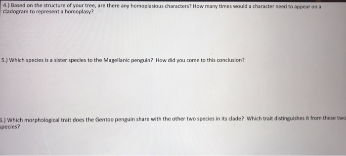 Solved Penguin Phylogeny You MUST build your cladogram based | Chegg.com