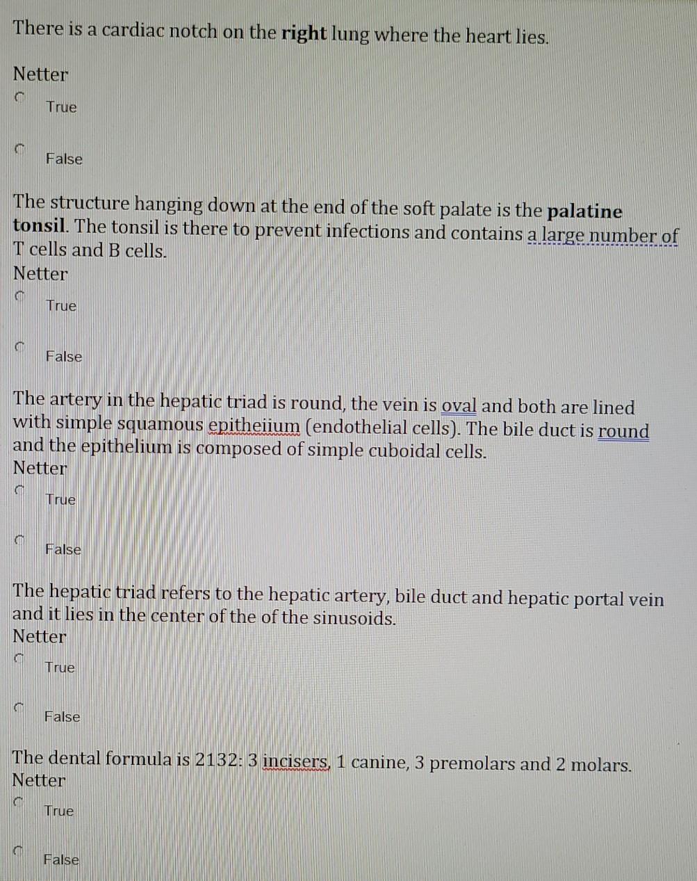 Solved There is a cardiac notch on the right lung where the | Chegg.com
