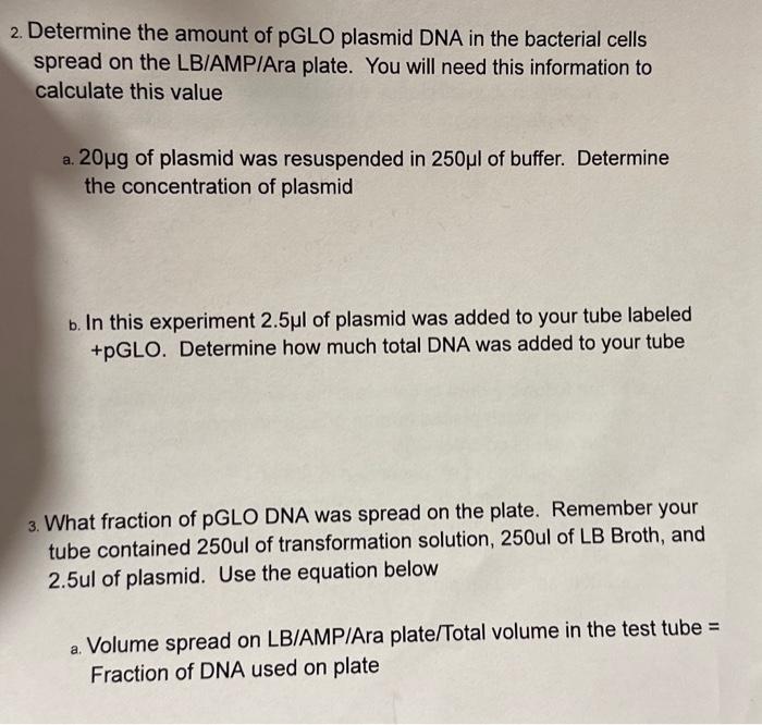 Solved Determine the amount of pGLO plasmid DNA in the | Chegg.com