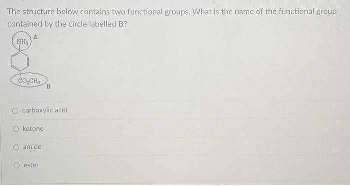 Solved The structure below contains two functional groups. | Chegg.com