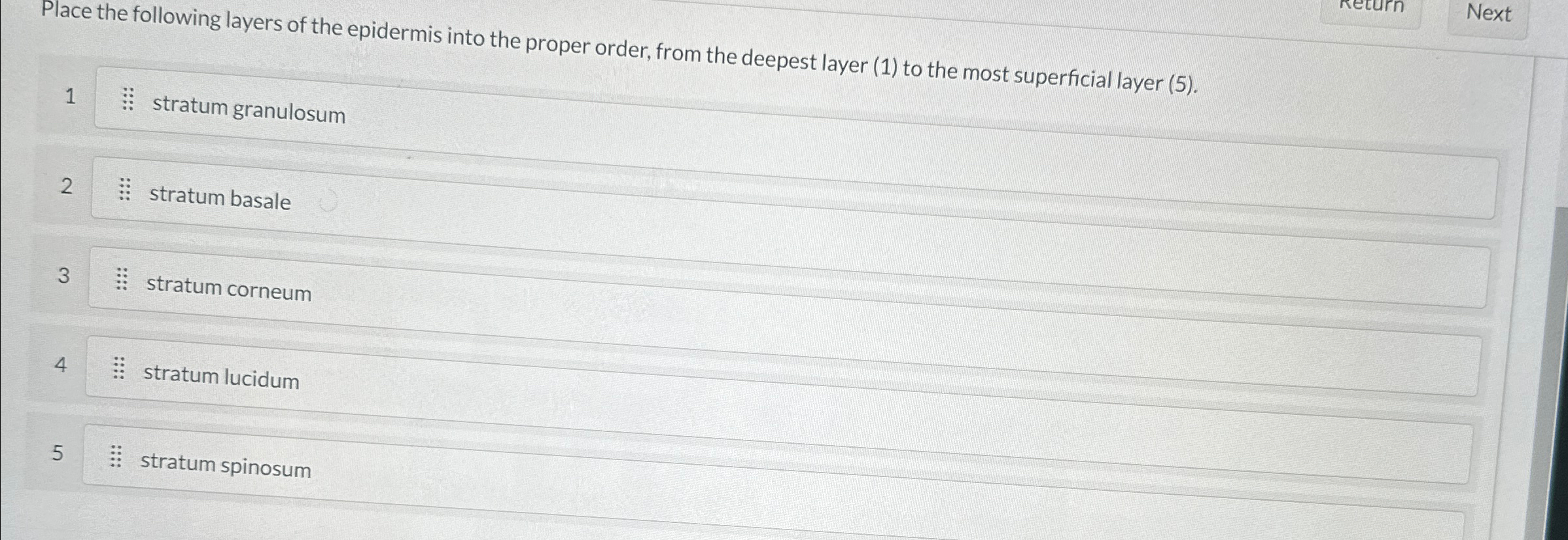 Solved Place the following layers of the epidermis into the | Chegg.com