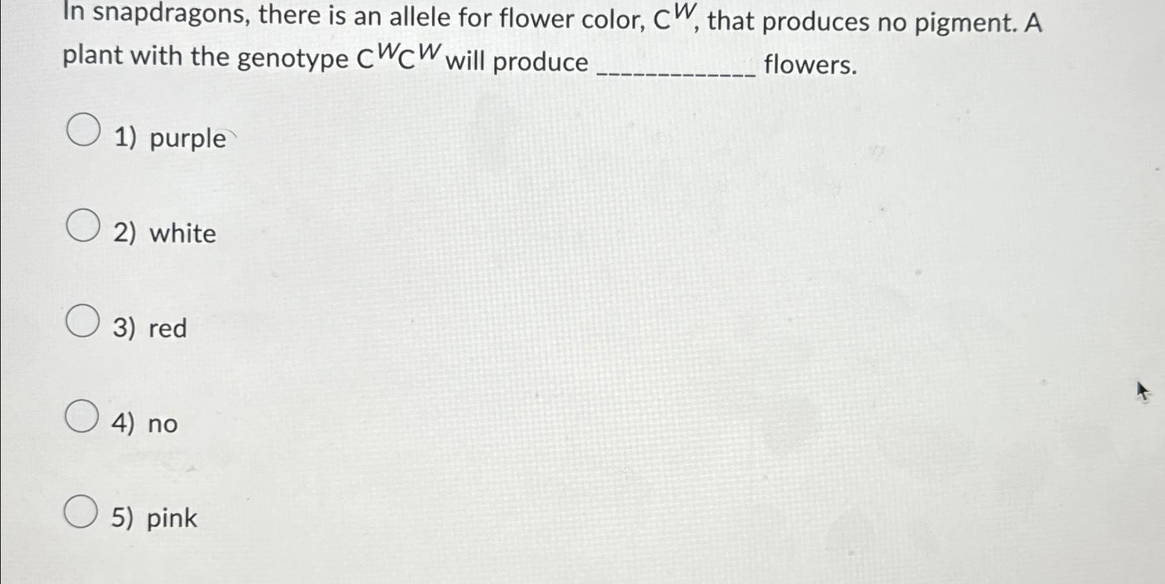 Solved In snapdragons, there is an allele for flower color, | Chegg.com