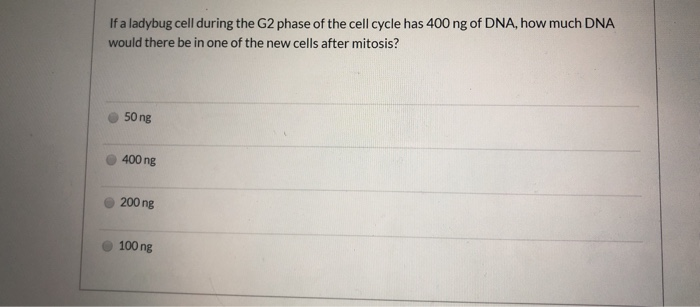 Solved If a ladybug cell during the G2 phase of the cell | Chegg.com