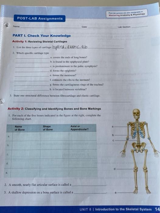 Solved sign Mastering Anatomy & Physiology POST-LAB | Chegg.com