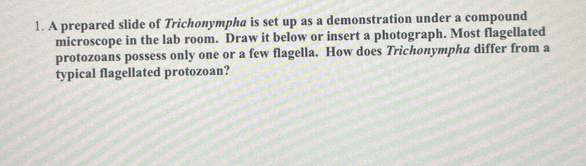 Solved A prepared slide of Trichonympha is set up as a | Chegg.com